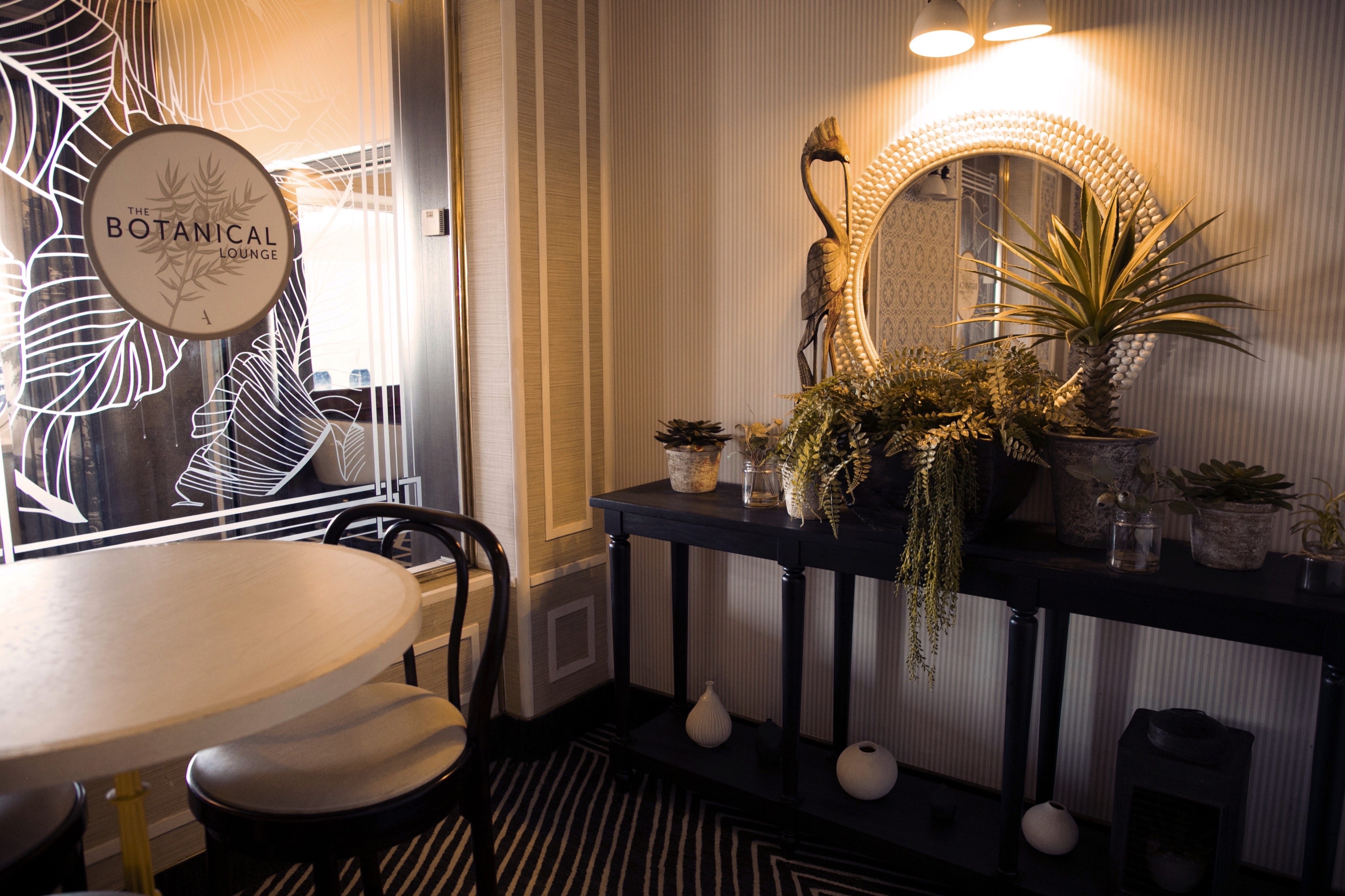 Ambience | Hays Cruise