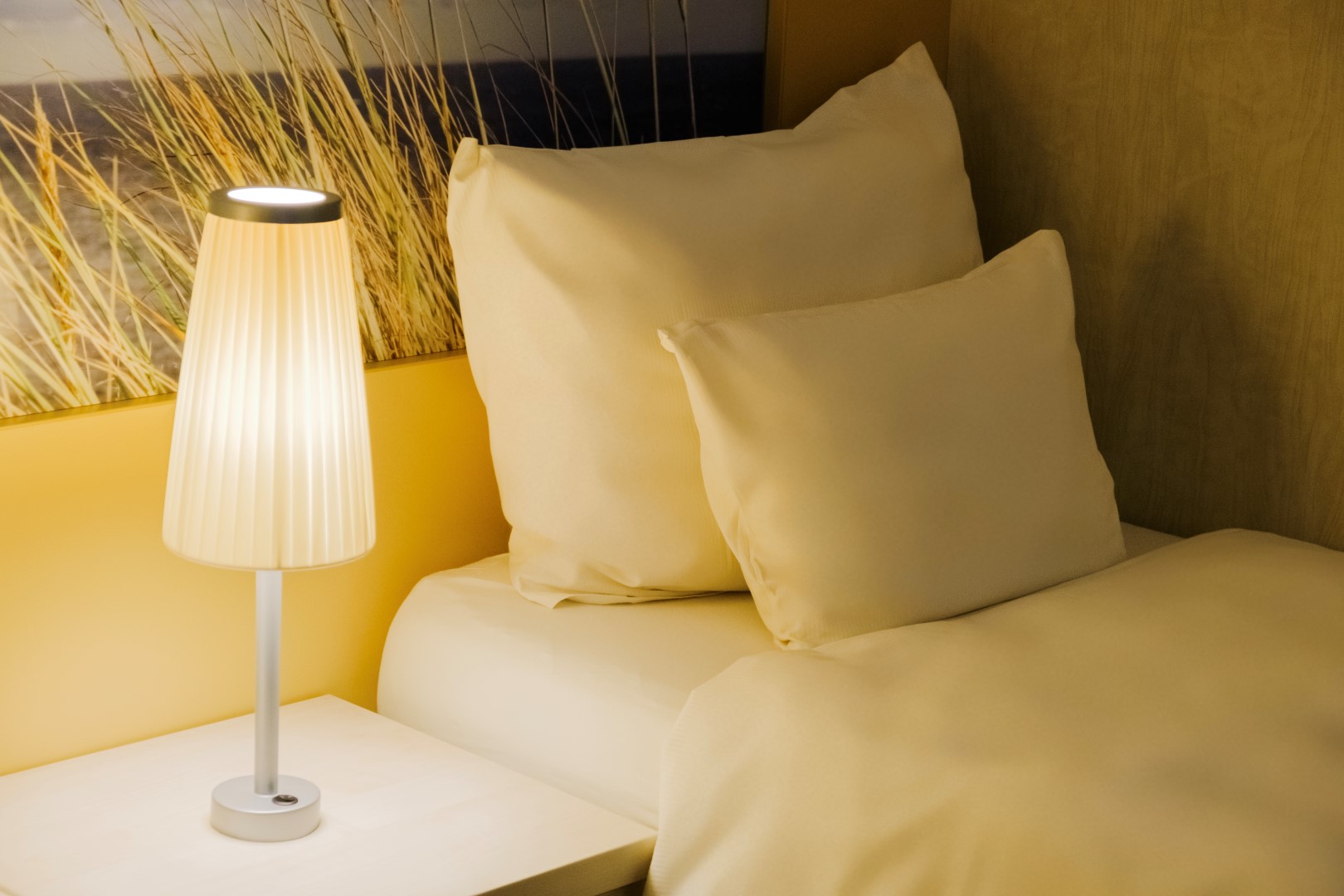 Ambassador - Ambition | Hays Cruise