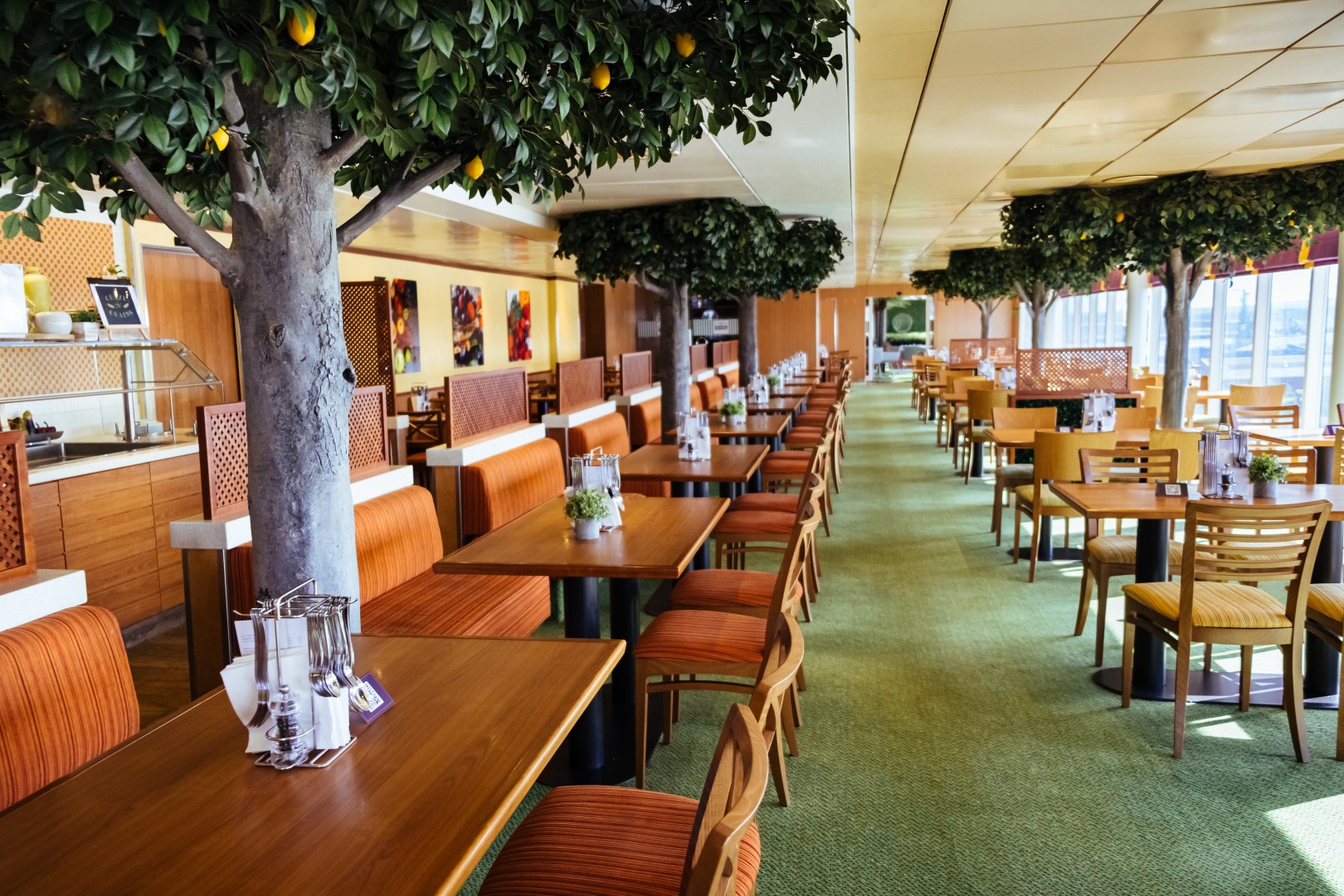 Ambassador - Ambition | Hays Cruise