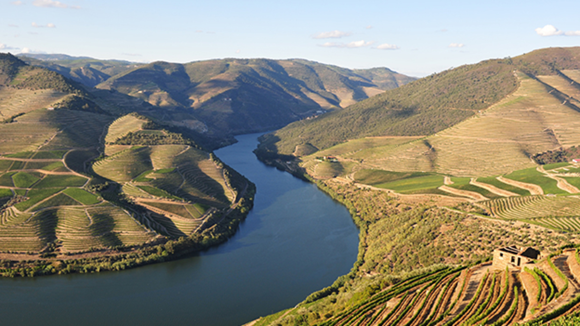Highlights of the Douro Valley & Salamanca River Cruise - MS Riviera ...