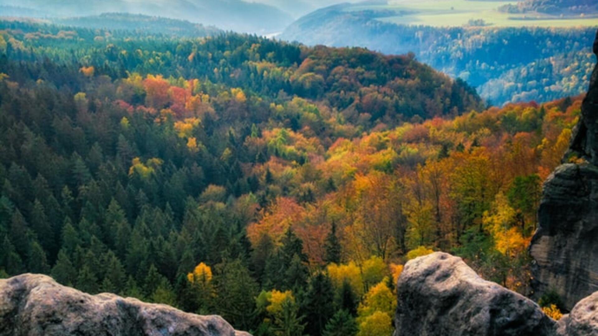 Castles, Wine & Baroque | 12 Dec 2027 | VIVA RUBY - VIVA Cruises ...