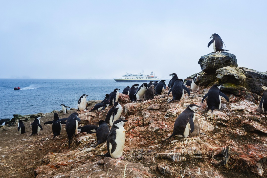 Panache Cruises - Cruise Ship