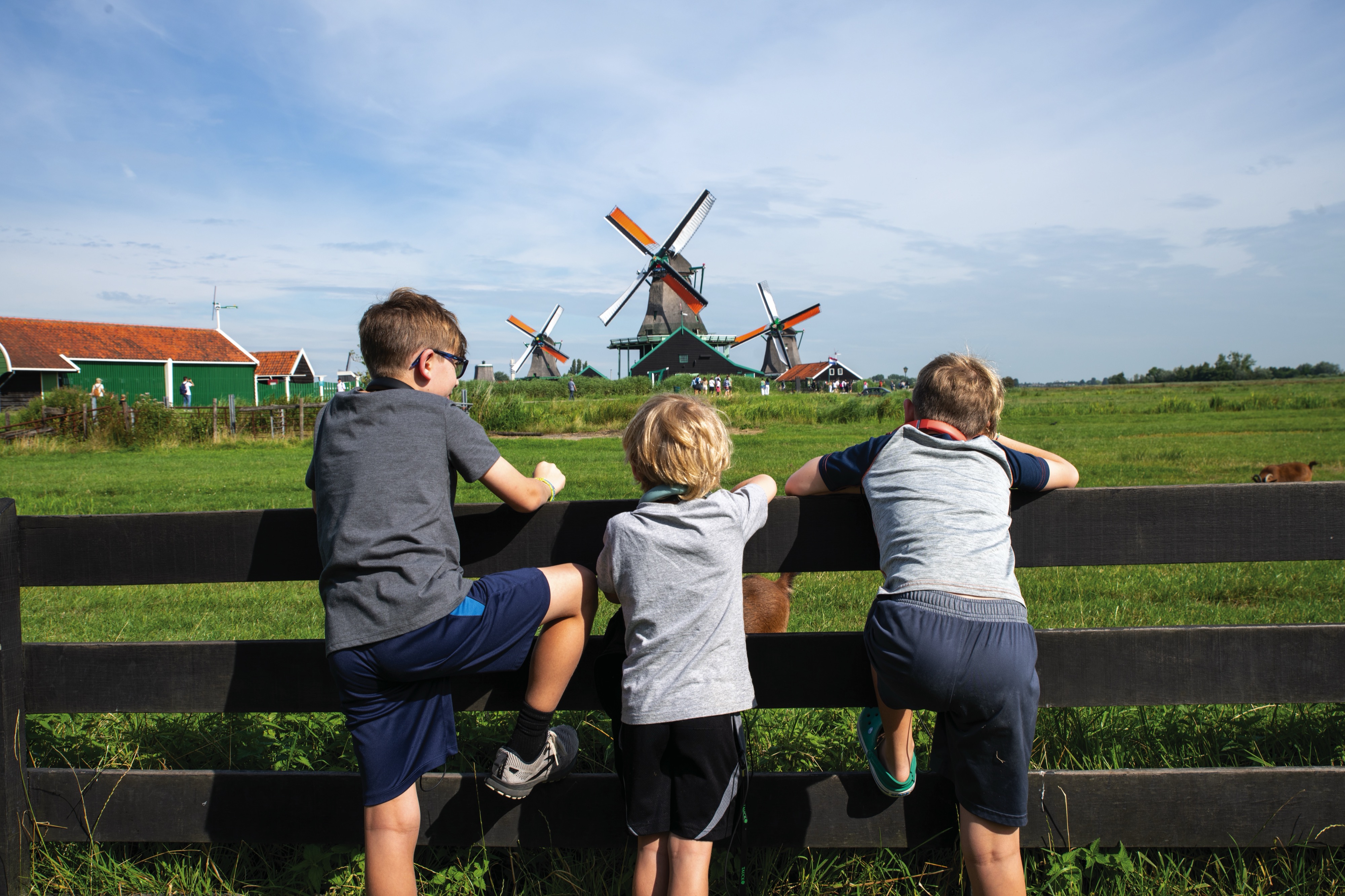 Castles on the Rhine: Family Riverboat Adventure - Southbound | 8 Jul ...